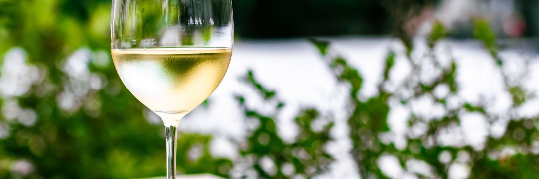 Top 5 wines to enjoy on their own | Water'n'Wine